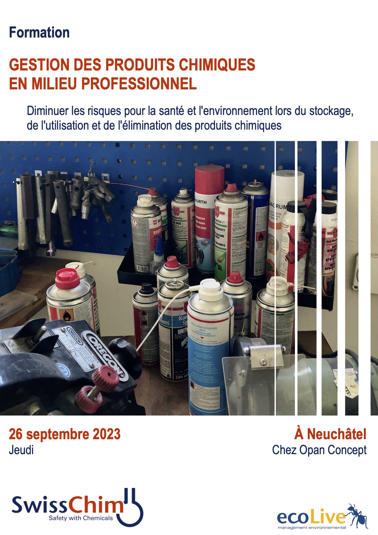 Formation Gestion des produits chimiques en milieu professionnel | SwissChim by ecoLive